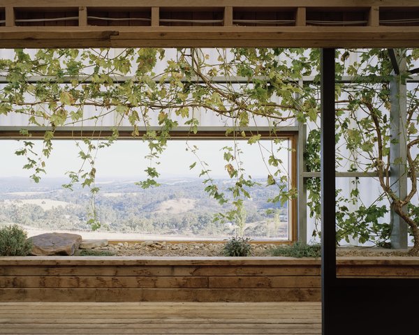 Windows Design Photos and Ideas - Dwell