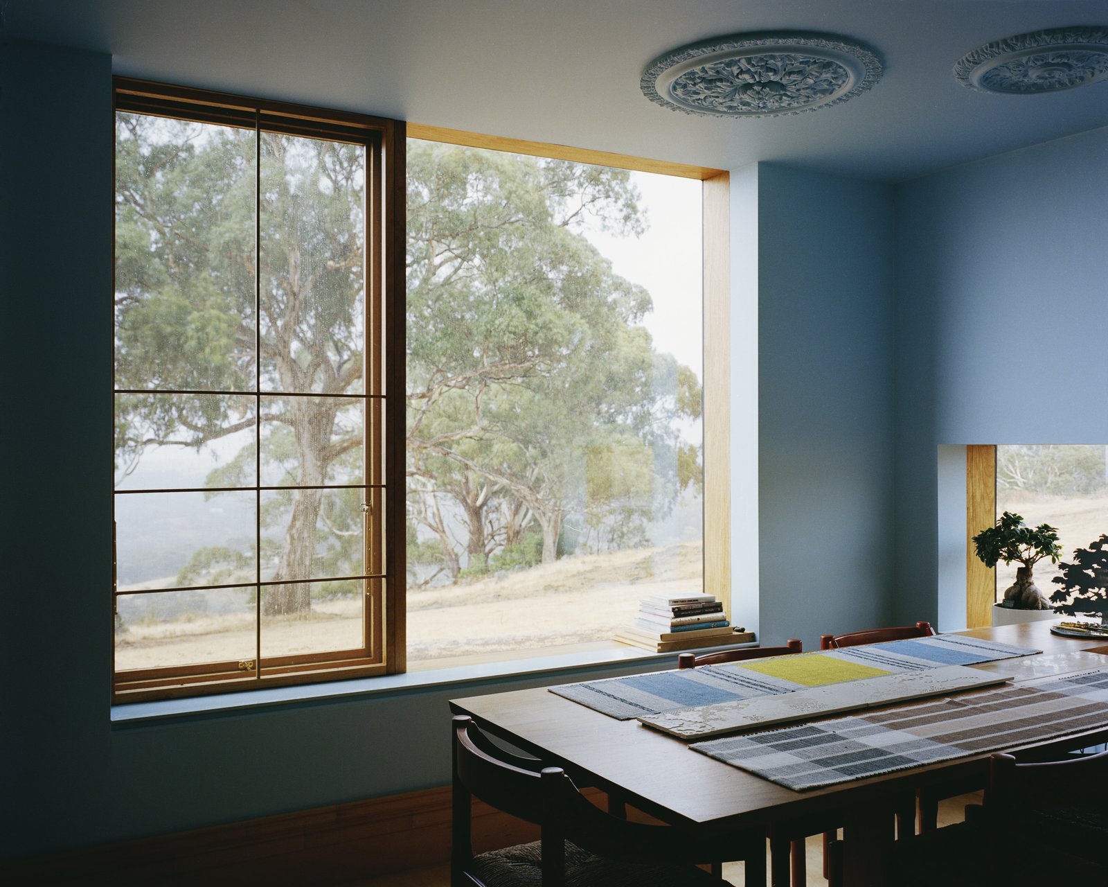 Photo 11 of 14 in This Translucent Shed Hosts a Couple’s Home, Garden ...