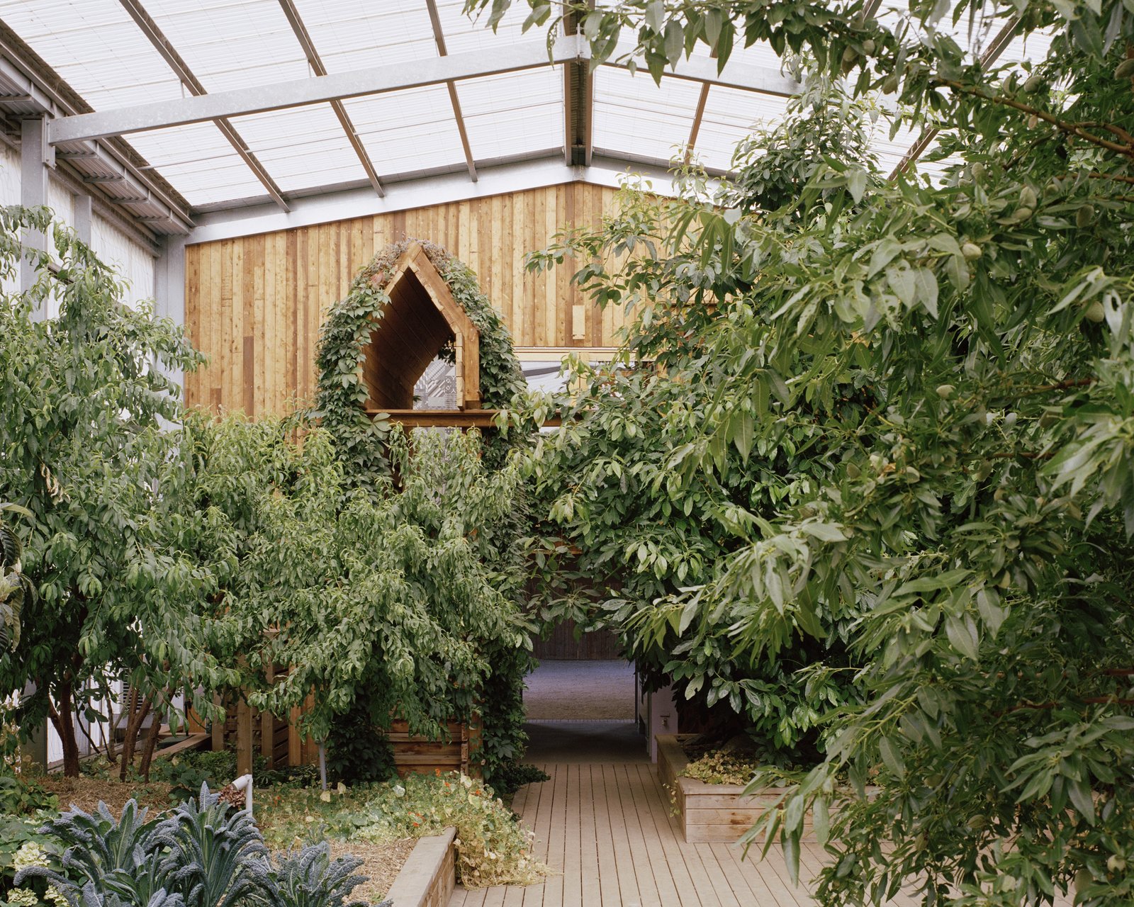 Photo 6 of 14 in This Translucent Shed Hosts a Couple’s Home, Garden ...