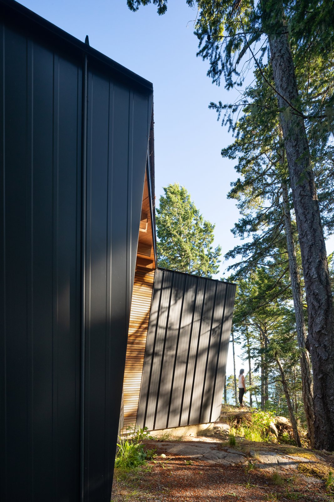 Photo 3 of 14 in An Angular Cabin Is Perfectly Poised to Soak Up ...