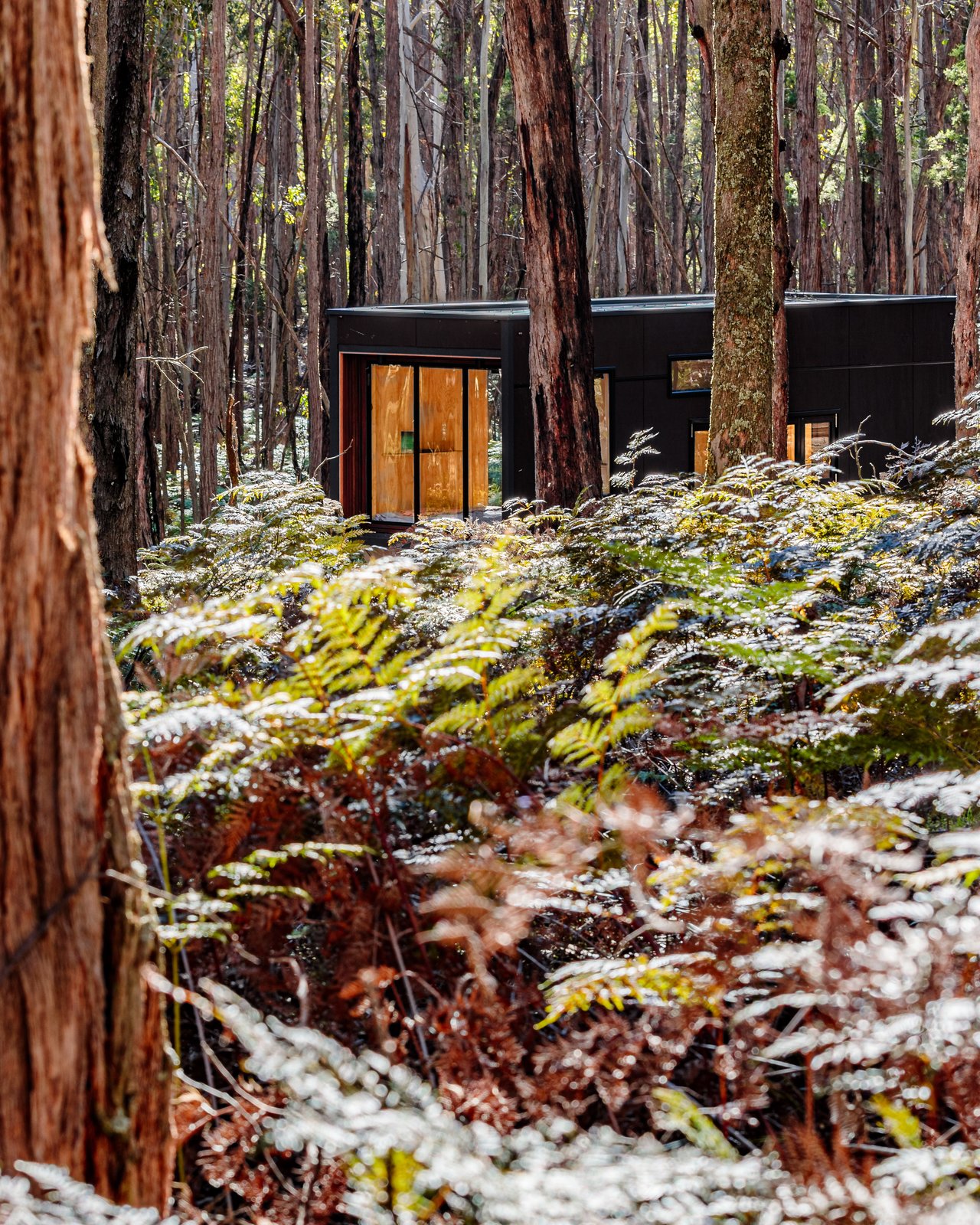 Photo 1 of 10 in Go Off-Grid in This Tiny Australian Cabin Made for ...