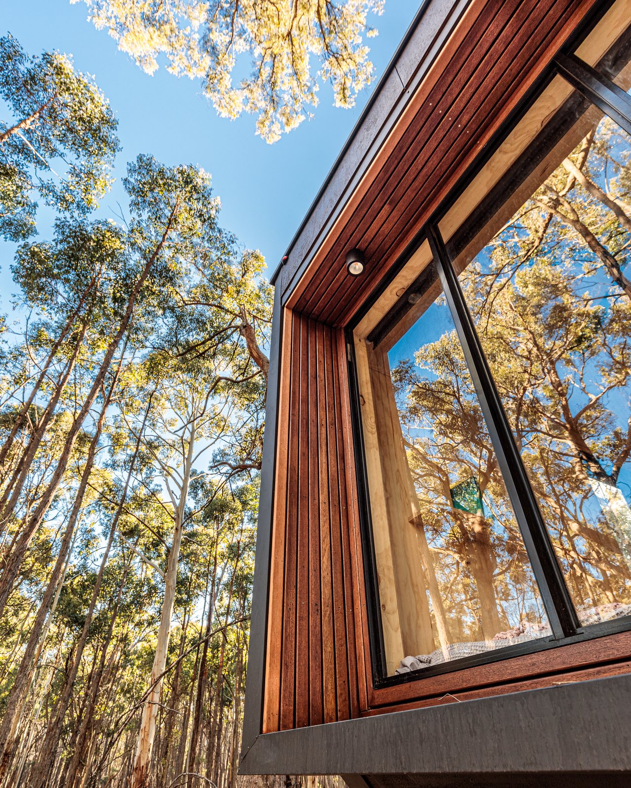 Photo 2 of 10 in Go Off-Grid in This Tiny Australian Cabin Made for ...