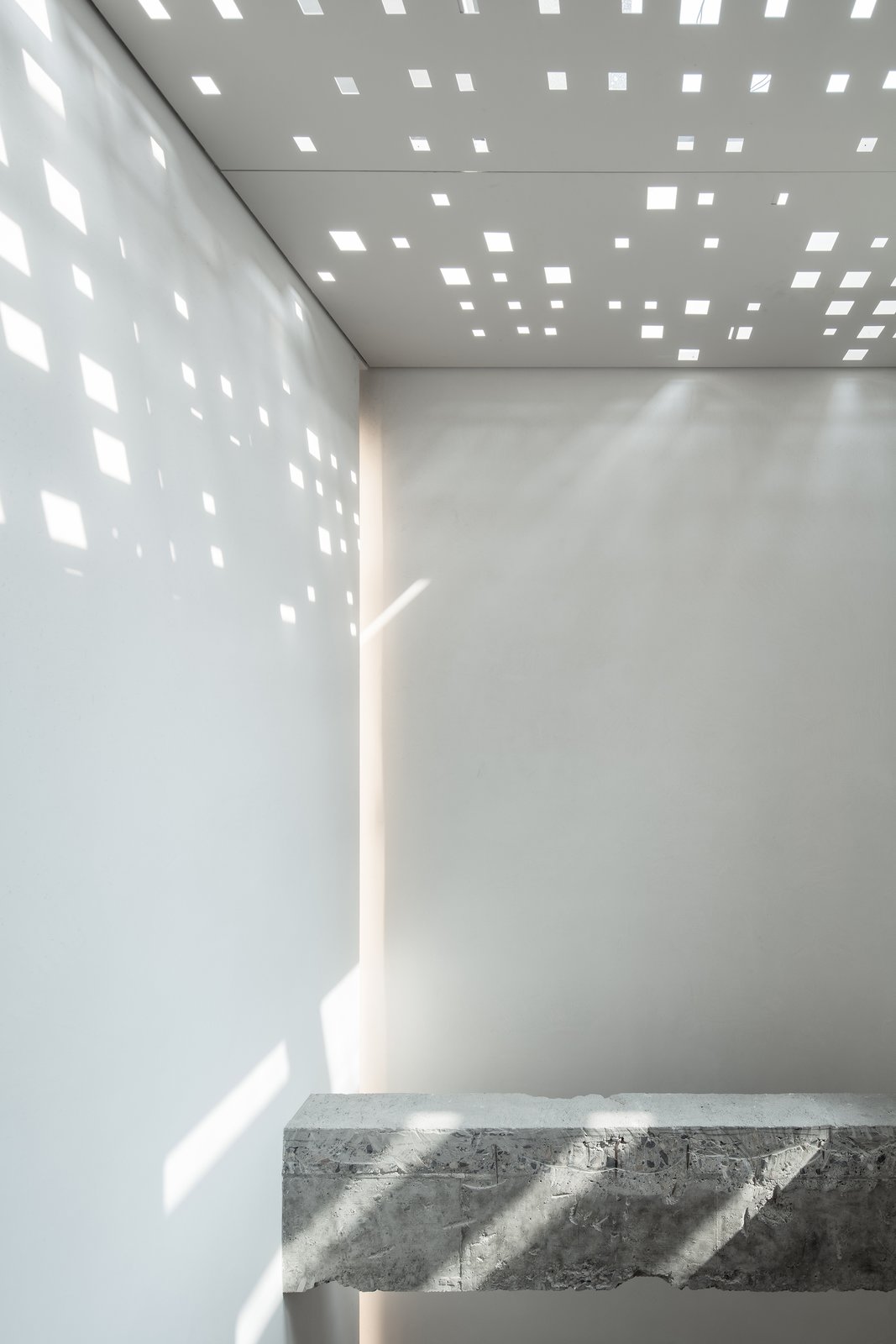 Photo 12 of 23 in A Soaring Atrium With a Perforated Roof Fills This ...