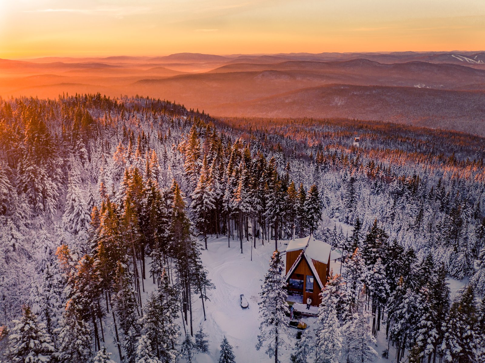 Photo 1 of 10 in An Adventurous Couple Build an A-Frame Cabin in the ...