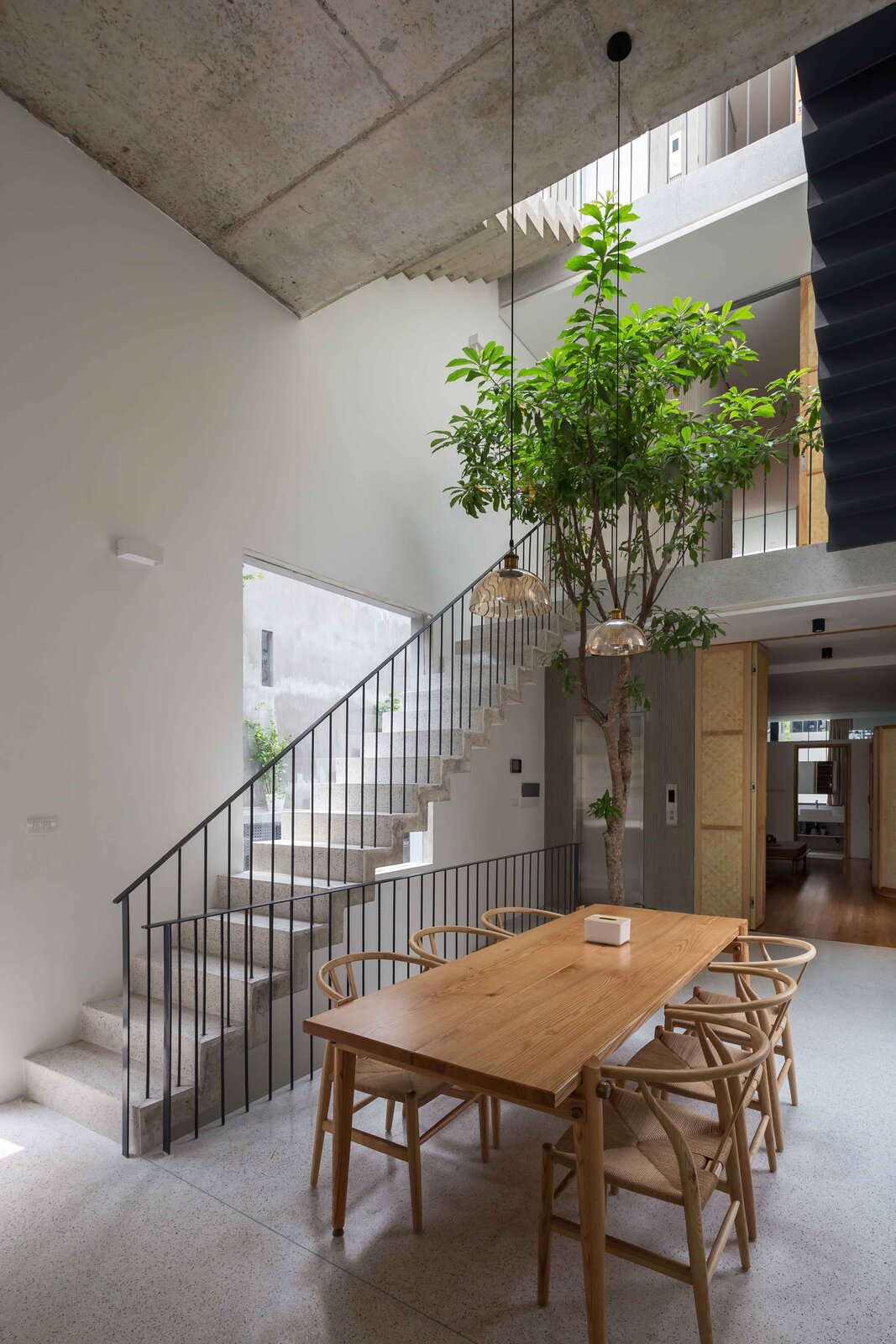 Photo 6 of 17 in A Towering Tree Grows at the Heart of This Super ...