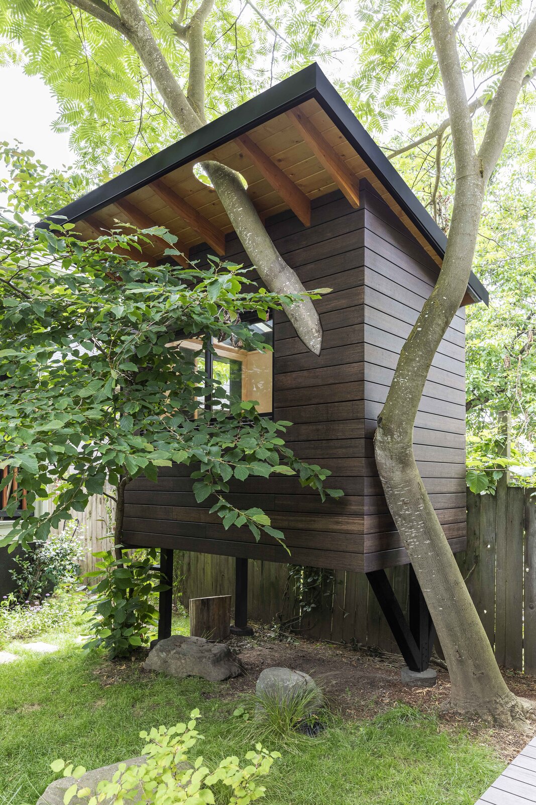 Photo 11 of 14 in A Portland Designer Revamps Her Backyard With a ...