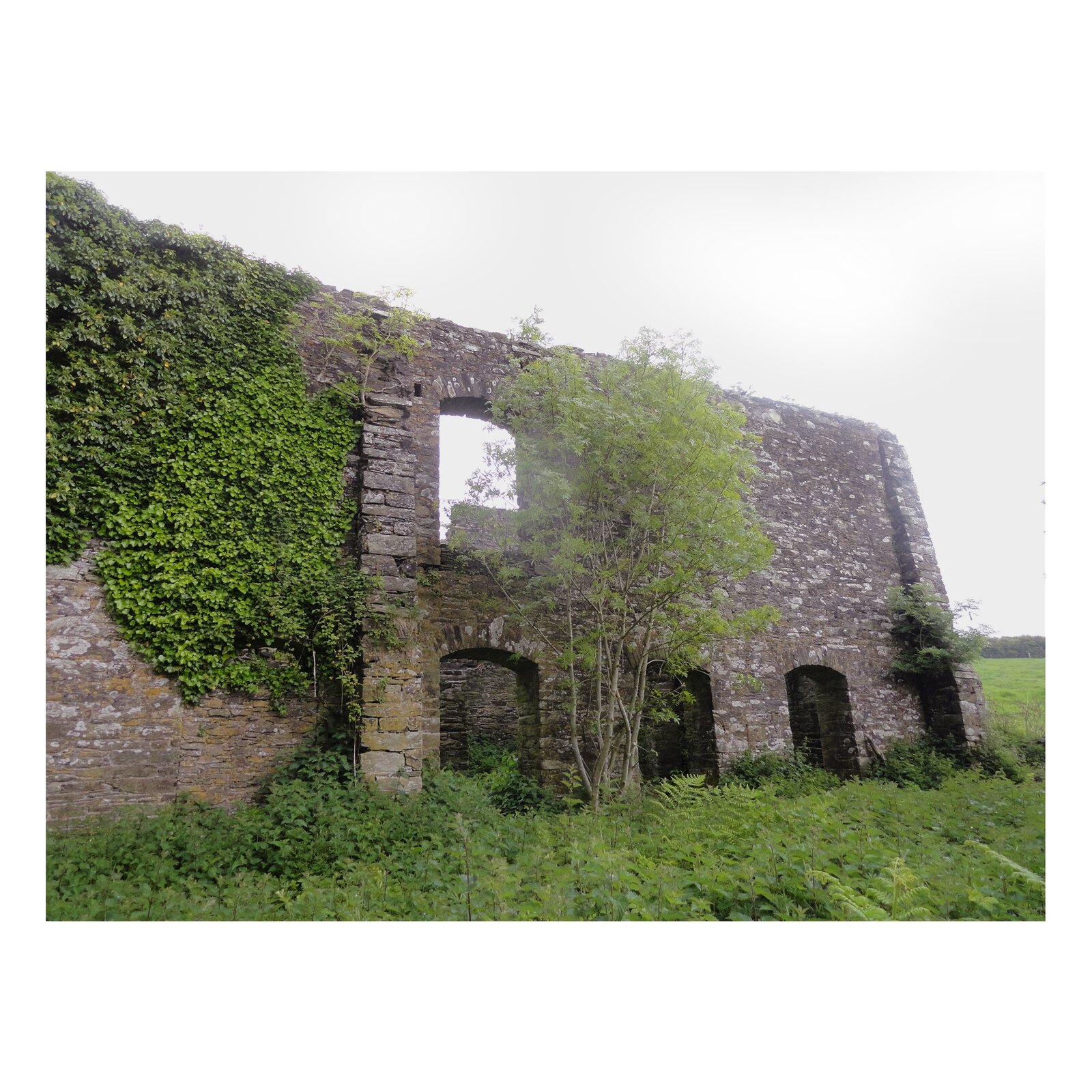 Photo 2 of 25 in Before & After: A Country Home Blossoms in the Ruins ...