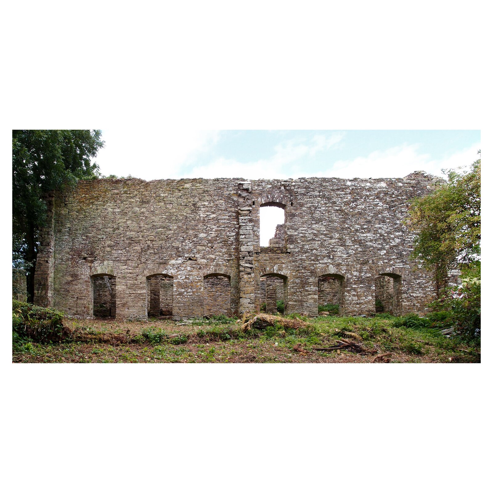 Photo 3 of 25 in Before & After: A Country Home Blossoms in the Ruins ...