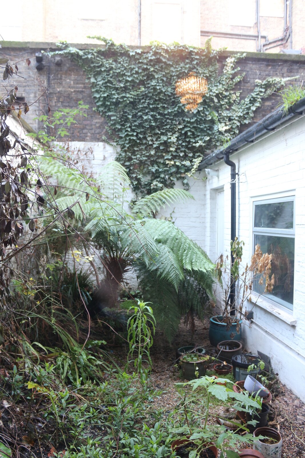 Photo 8 of 19 in Before & After: A Refreshed Courtyard Helps a ...