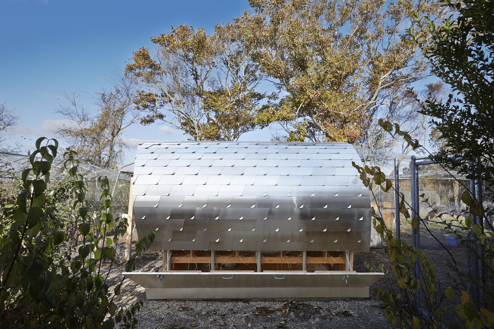 Photo 21 of 29 in 10 Modern Chicken Coops That Rule the Roost - Dwell