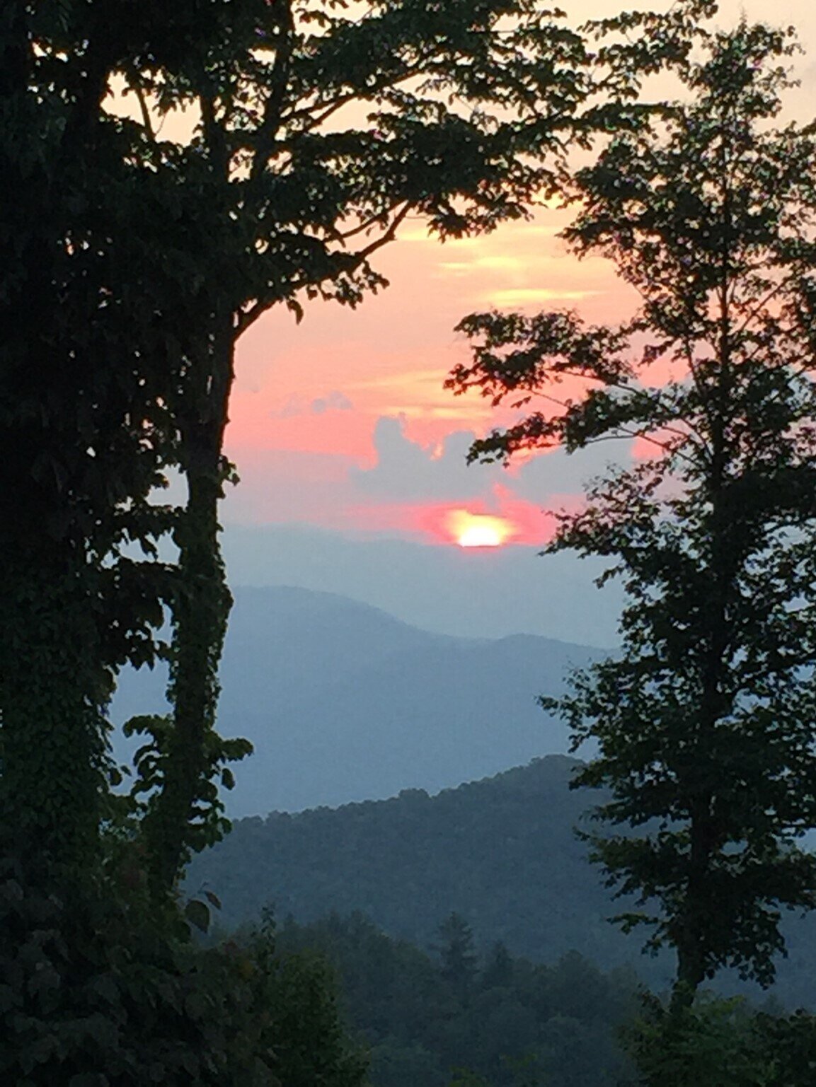 Photo 10 of 10 in Nantahala Mountain Zen by Michael Neiswander - Dwell