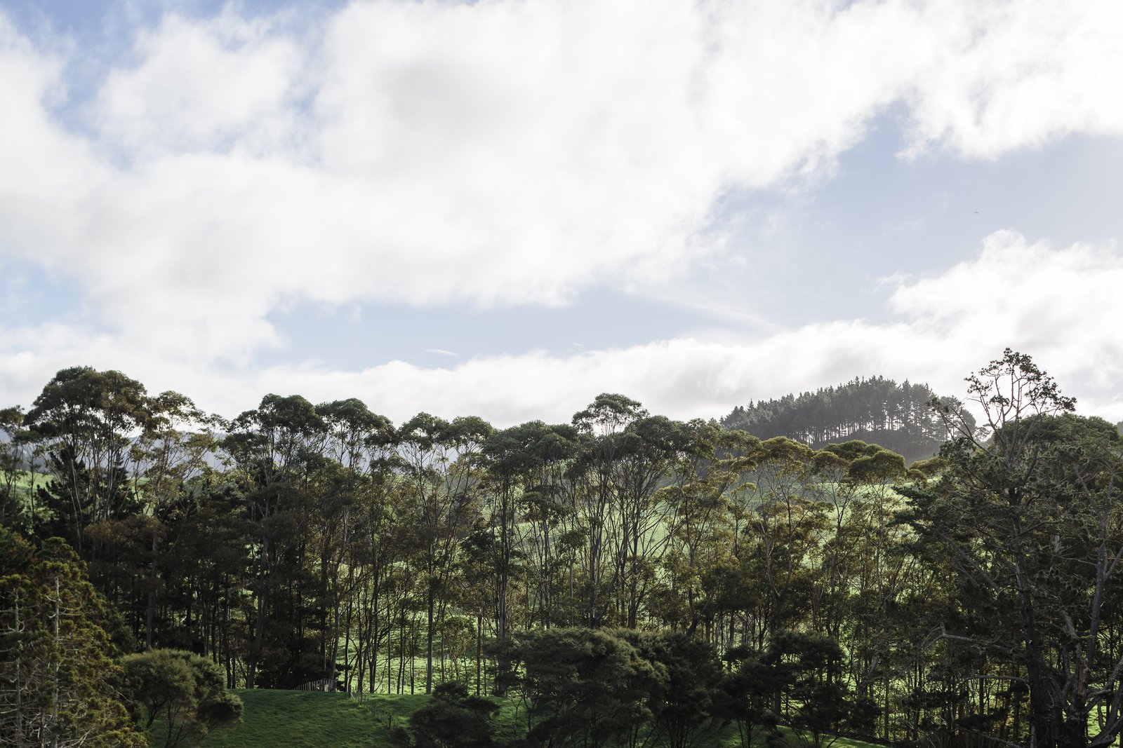 Photo 1 of 11 in This Rustic Modern Home Embraces New Zealand’s Natural ...