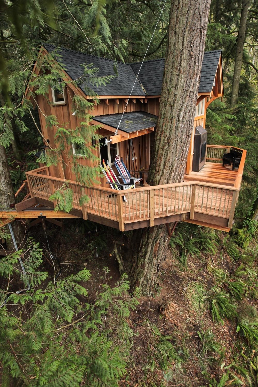 Photo 8 of 11 in How Tree House Master Pete Nelson Built an Empire in ...