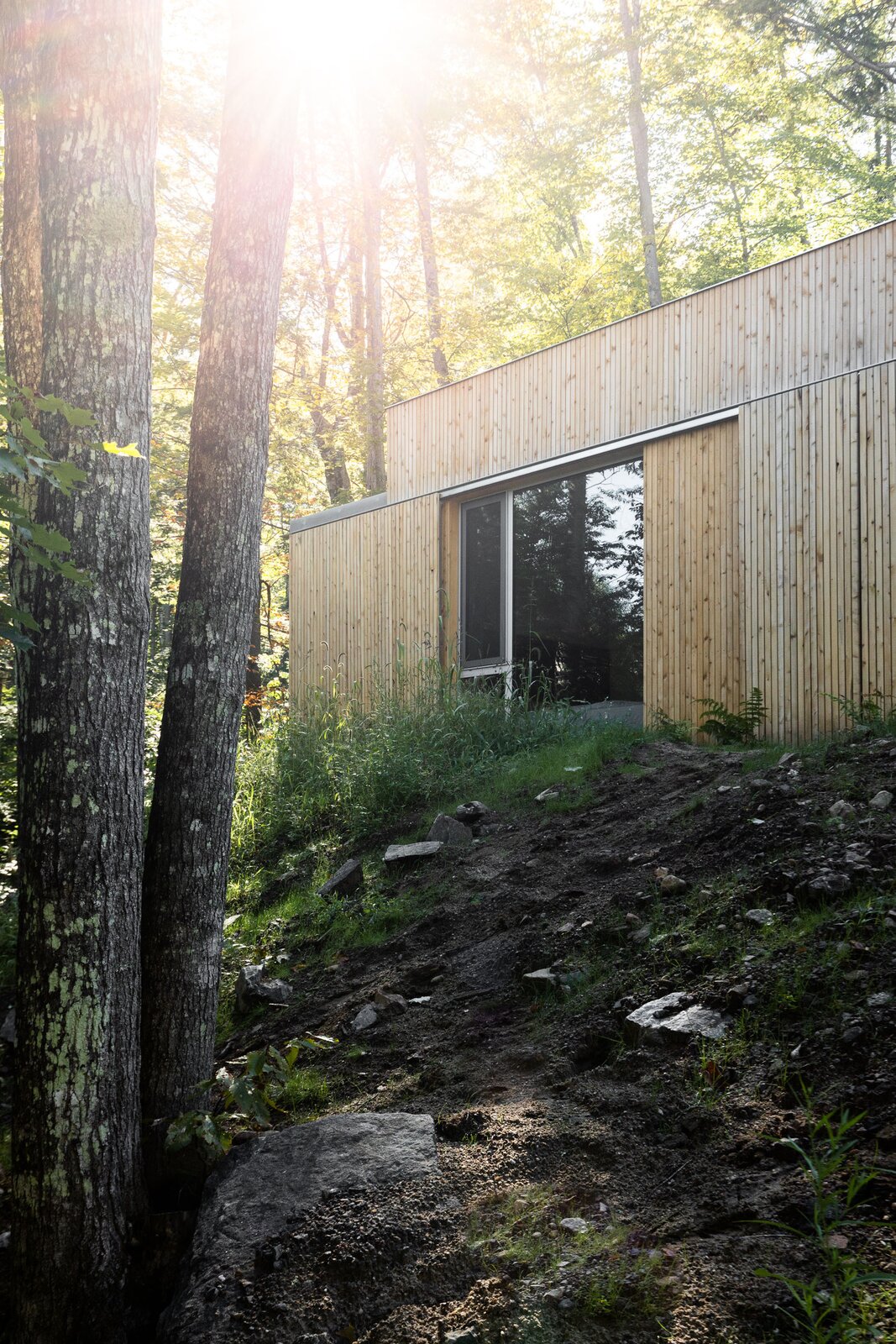 Photo 4 of 17 in A Timber-Clad Prefab Cabin Offers Respite in the ...