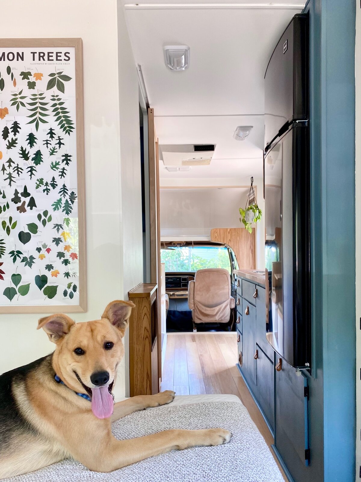 Photo 11 of 14 in Budget Breakdown: A 1988 Jayco Motor Home Gets a ...