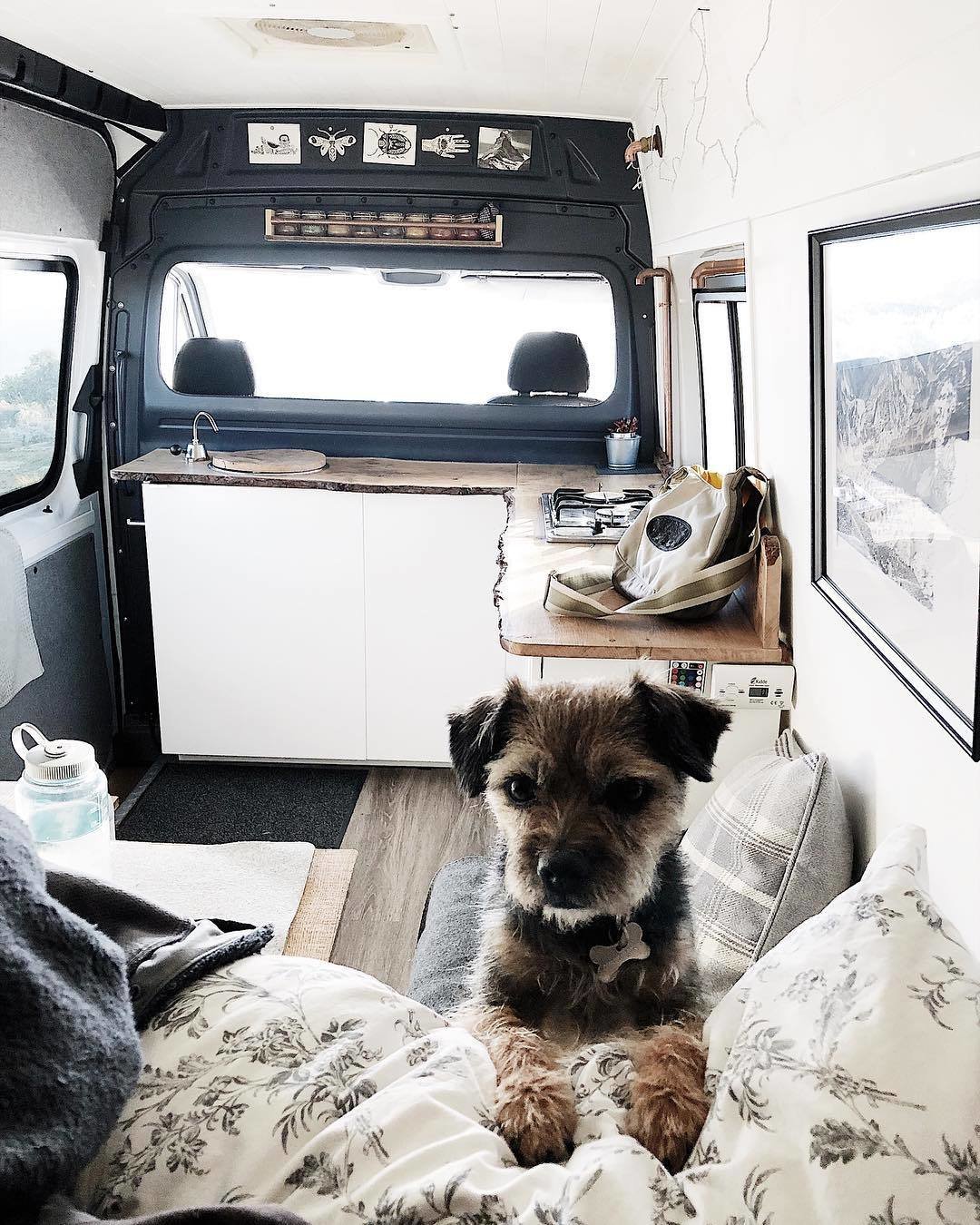 Photo 39 of 45 in 10 Van-Lifers You Should Follow on Instagram Right ...