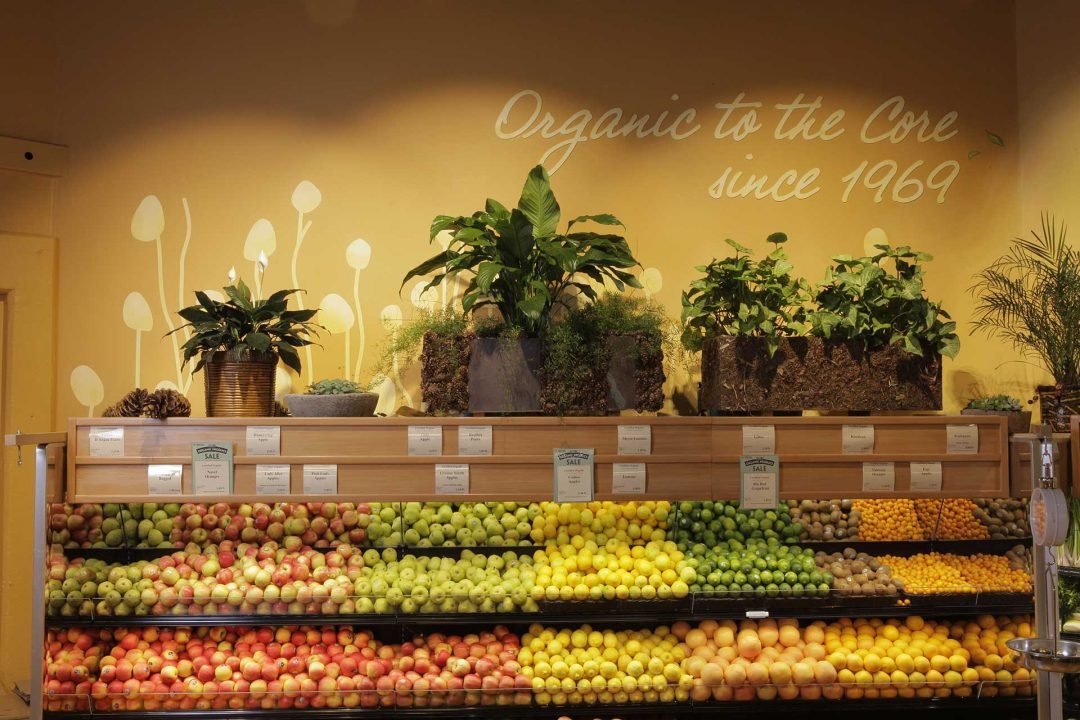Photo 4 of 6 in Natural & Organic Foods Stores by Debra Amerson ...