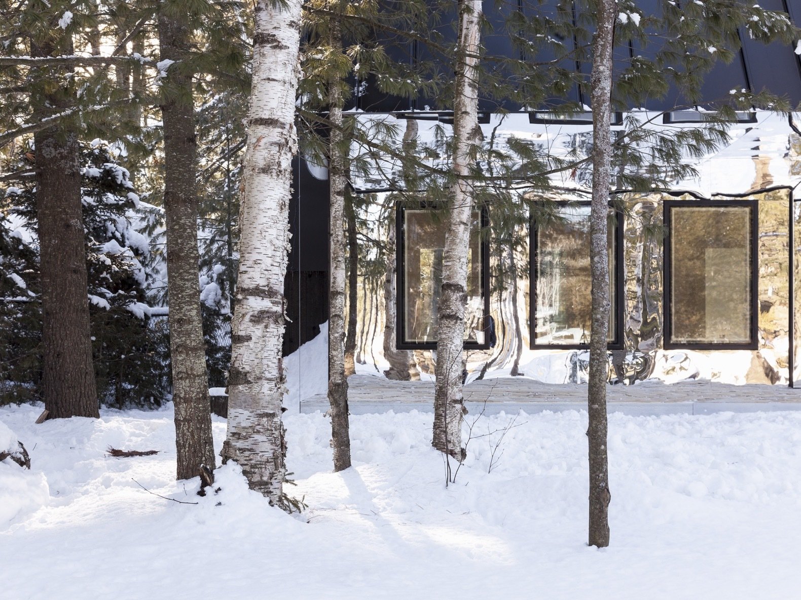 Photo 3 of 24 in This Mirrored Cabin Playfully Brings a Forest Indoors ...
