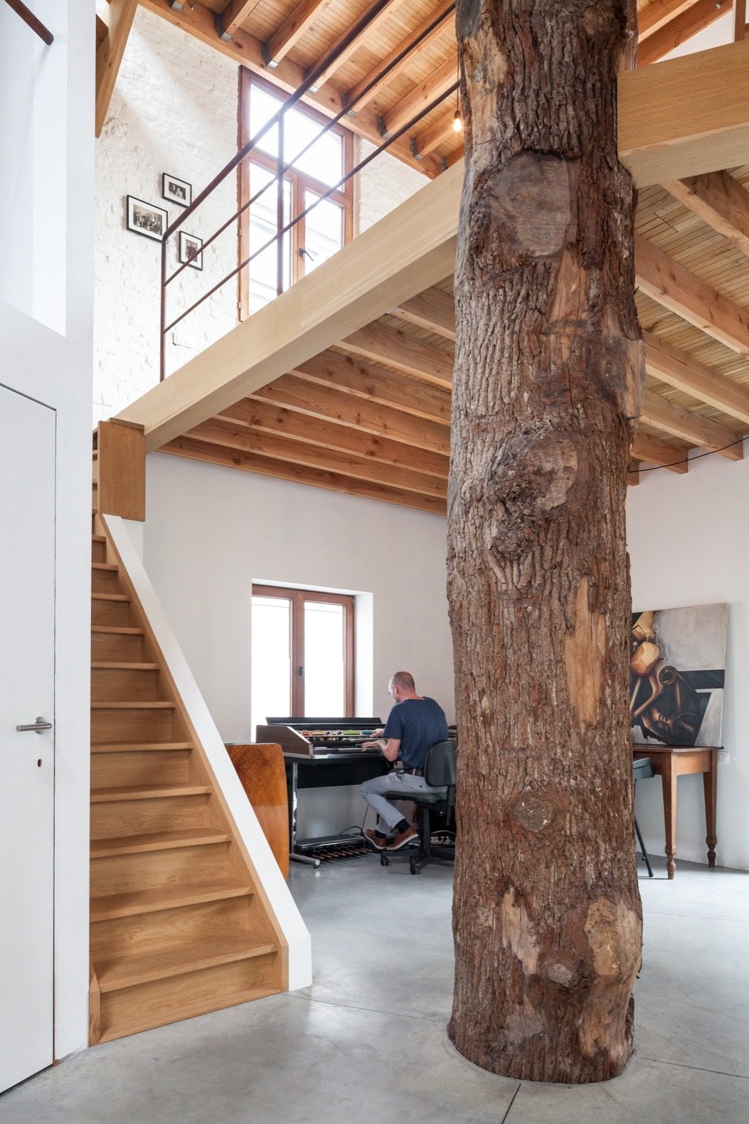 Photo 1 of 15 in A Crumbling Home Is Revived Around a Massive Tree ...