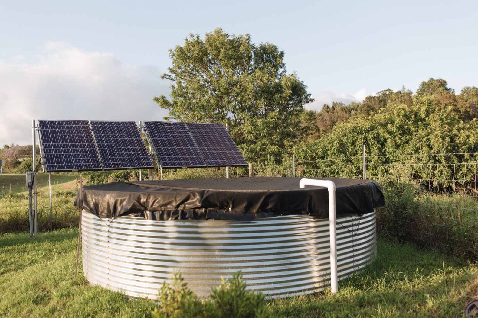 Photo 6 of 15 in Budget Breakdown: A Maui Couple Build an Off-Grid Tiny ...