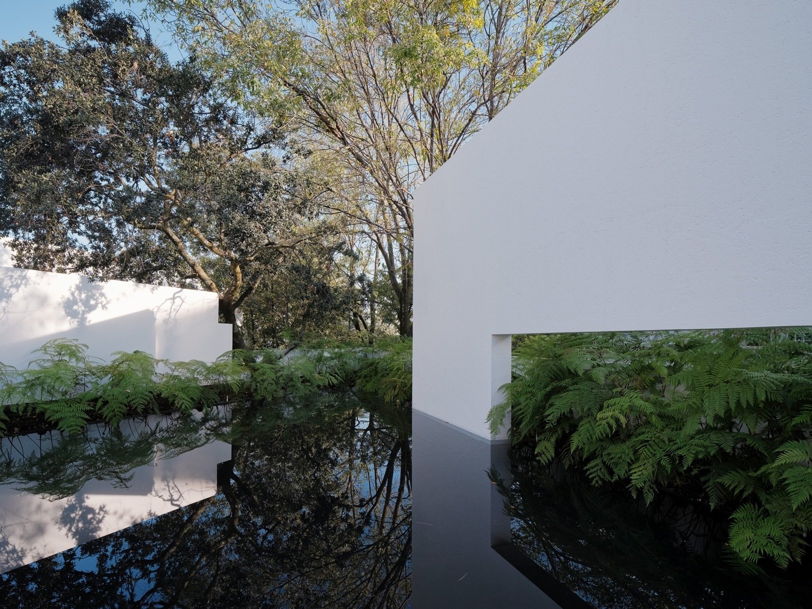 Photo 9 of 25 in Moody LEDs Turn This Mexico City Abode Into a Neon ...