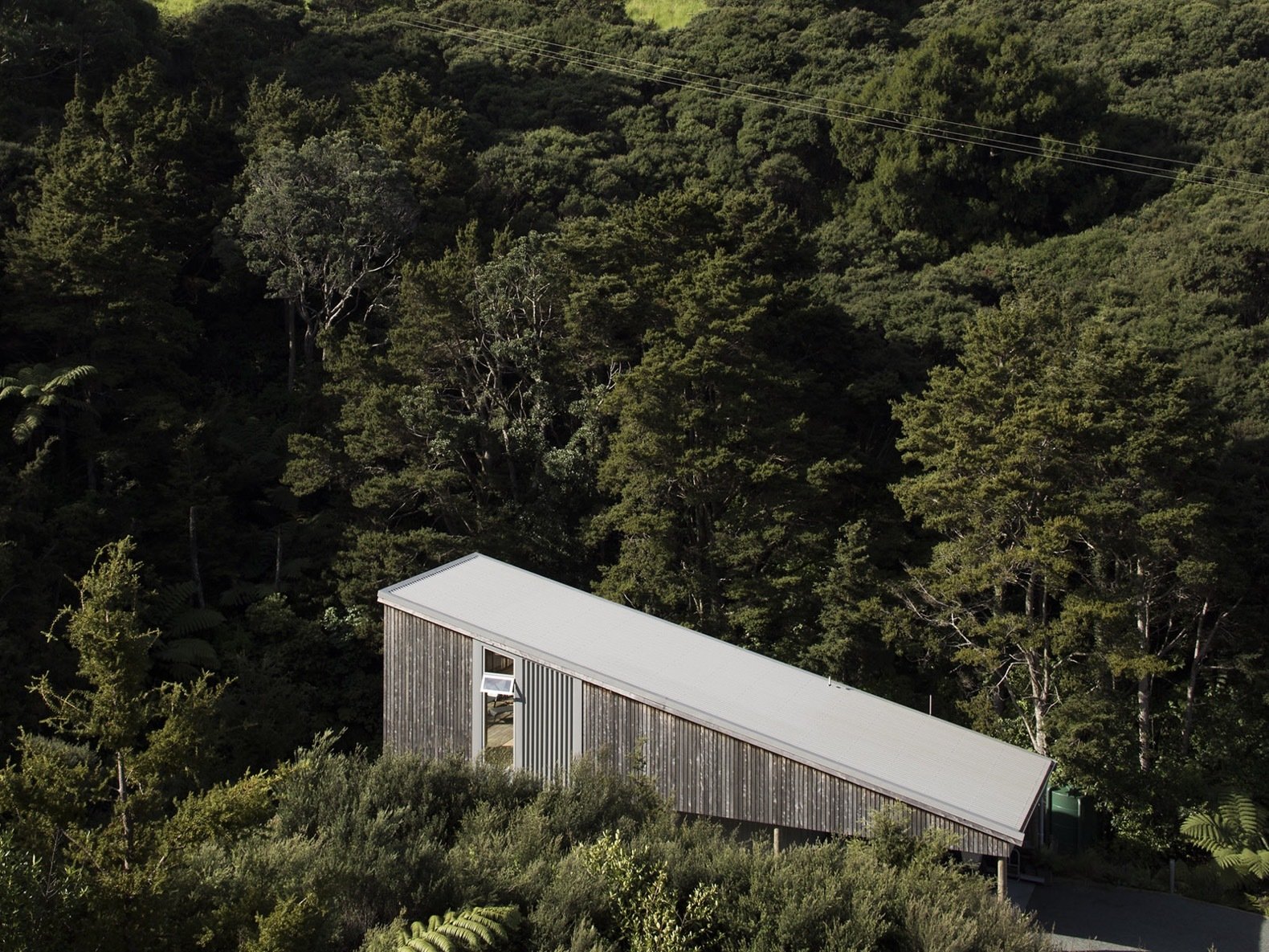 Photo 3 of 17 in A Wedge-Shaped Home Opens Up to the New Zealand Bush ...