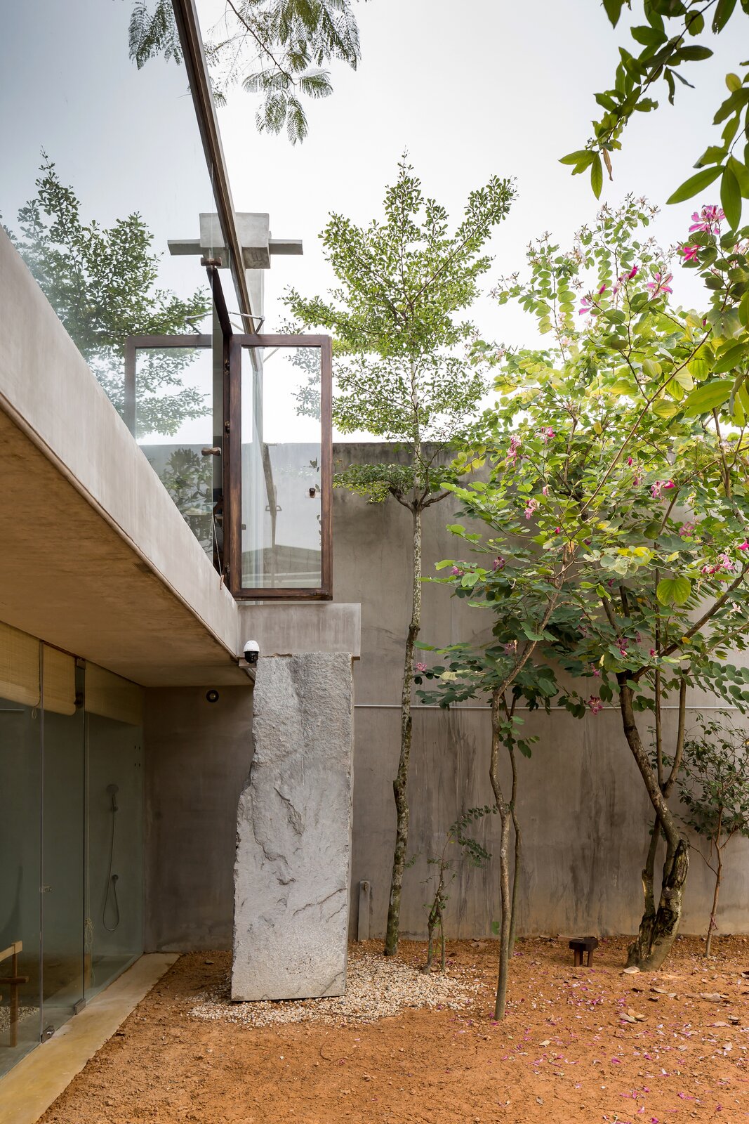 Photo 5 of 22 in Three Trees Grow Through a Tranquil Home for a Pho ...