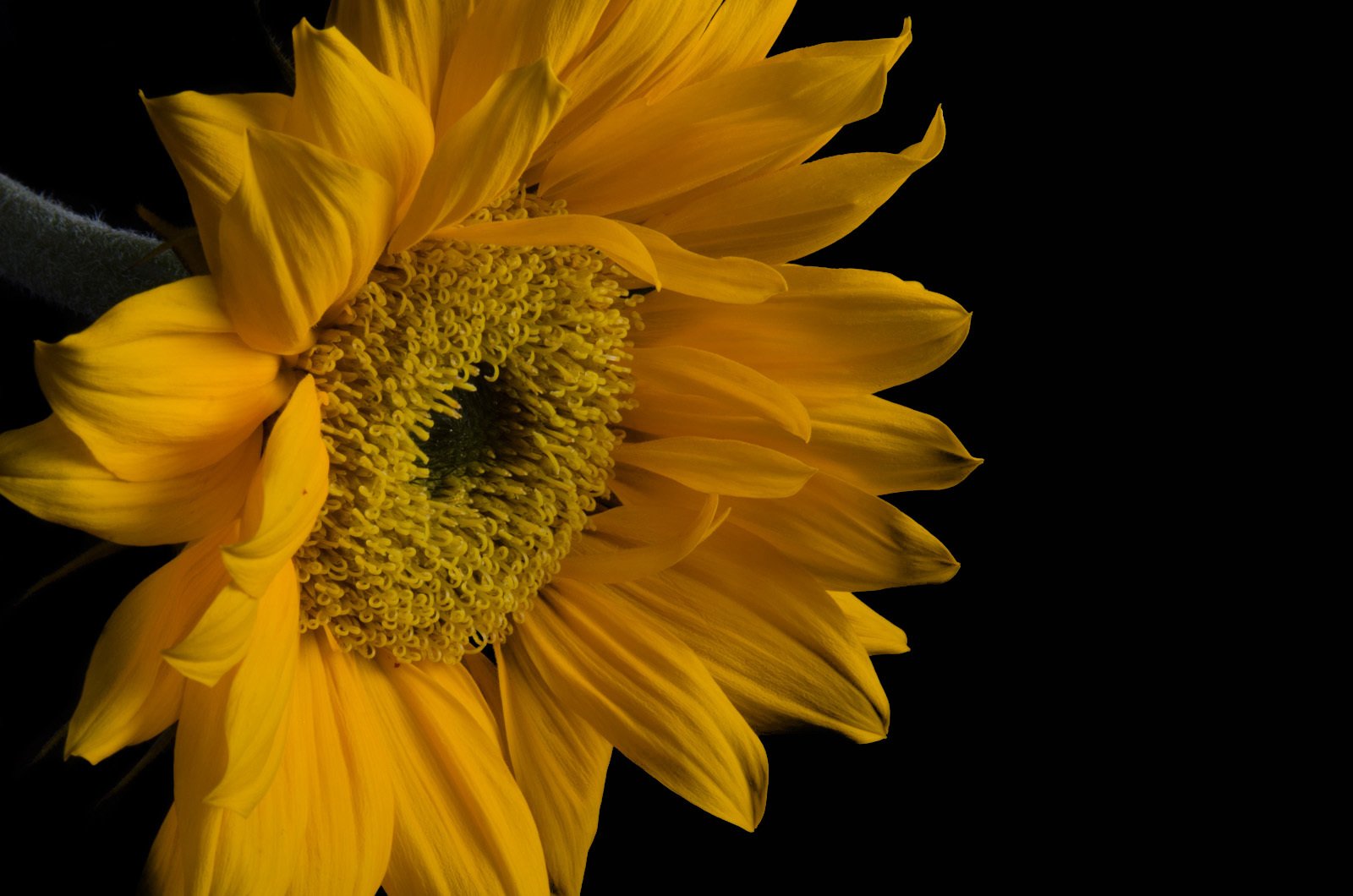 Photo 14 of 169 in Nature Photographs by Melissa Fague - Dwell
