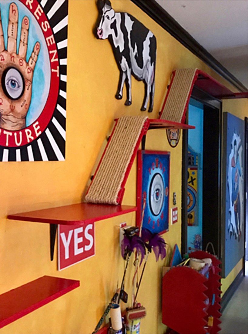 Photo 3 of 8 in A Colorful and Crazy Cat Fun House by star - Dwell