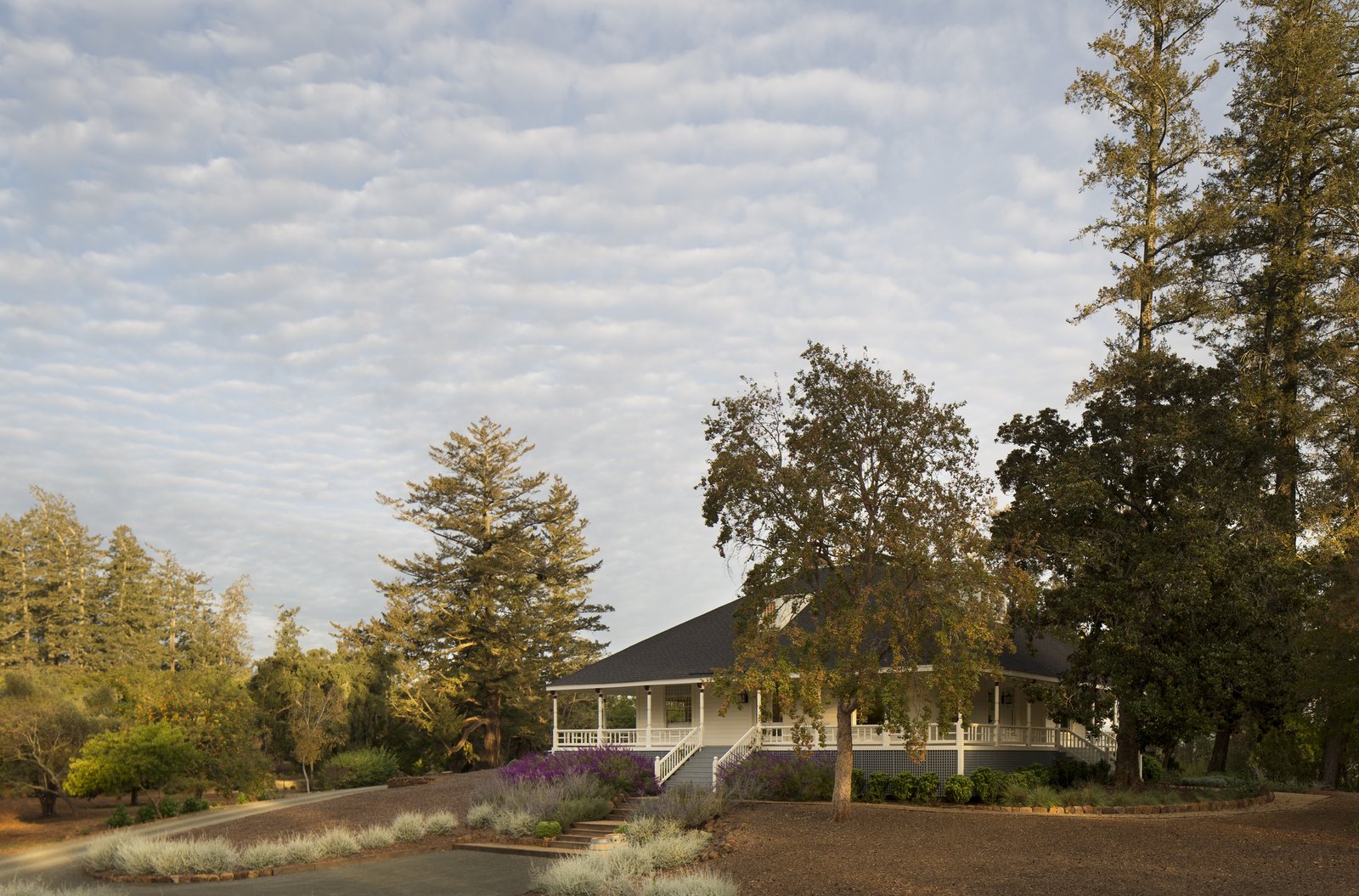 Photo 2 of 21 in Cole House by Richard Beard Architects - Dwell
