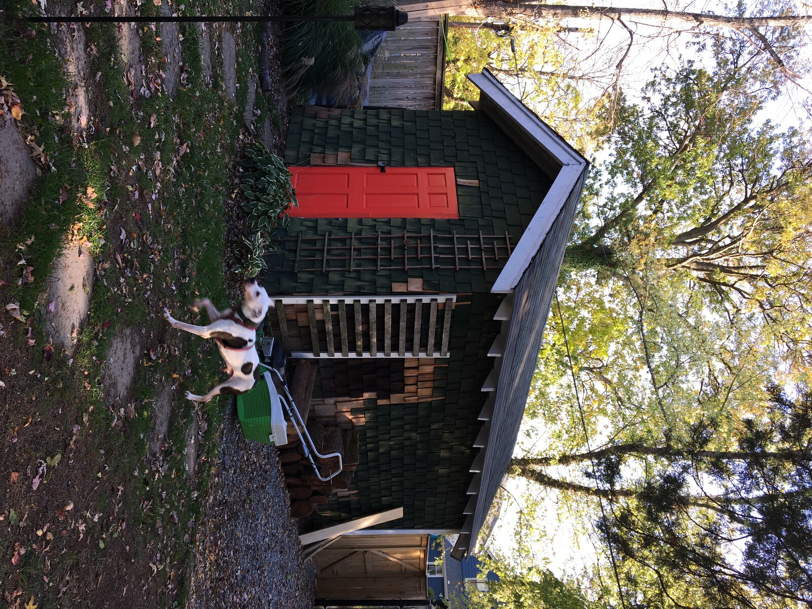 Photo 1 of 4 in The Zarconi ADU by ileana schinder - Dwell