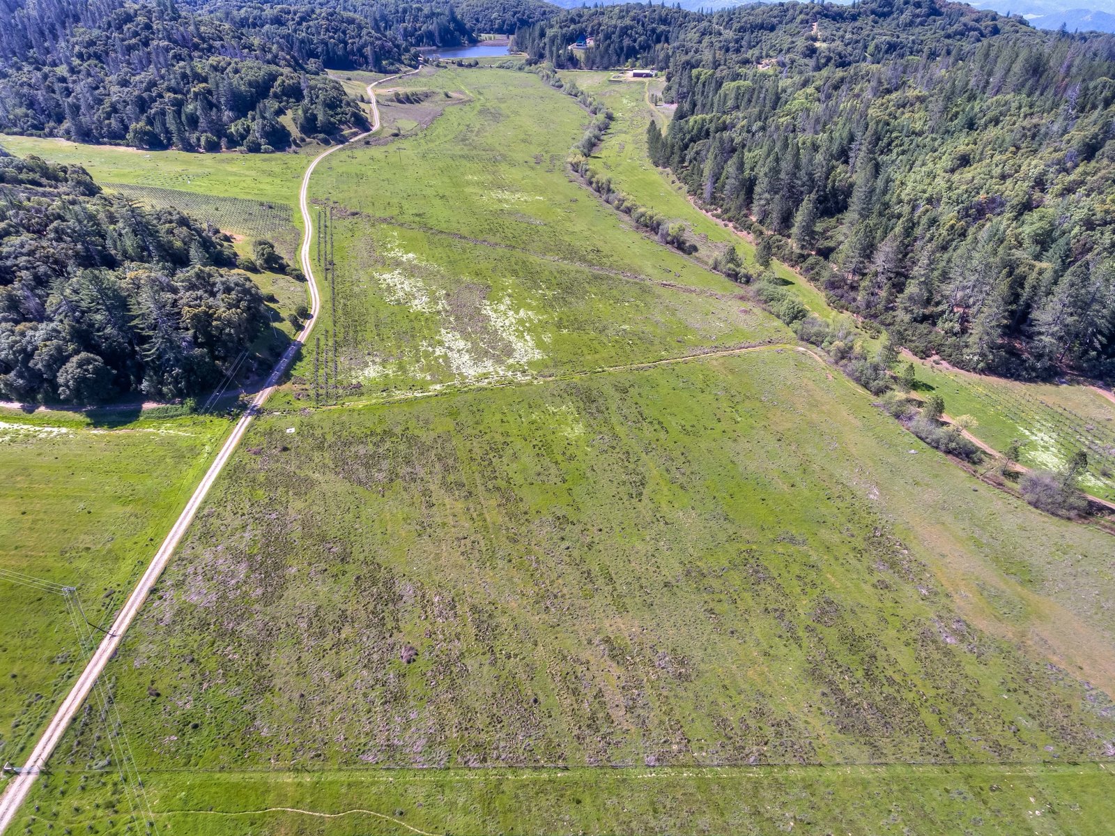 Photo 14 of 15 in Benmore Lake Ranch A-Frame by Stephen Cowan - Dwell
