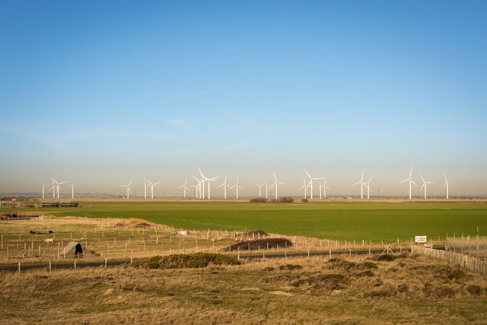 Photo 7 of 9 in The Coastguards Beach House by Jessica Vozel - Dwell