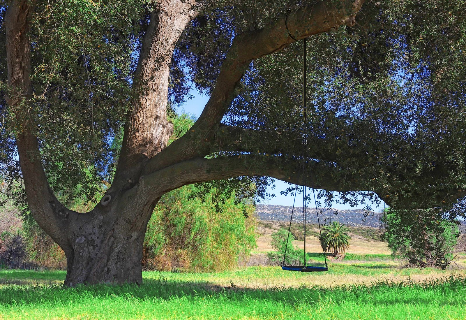 43000 Stanley Rd (1 Photo) - Dwell