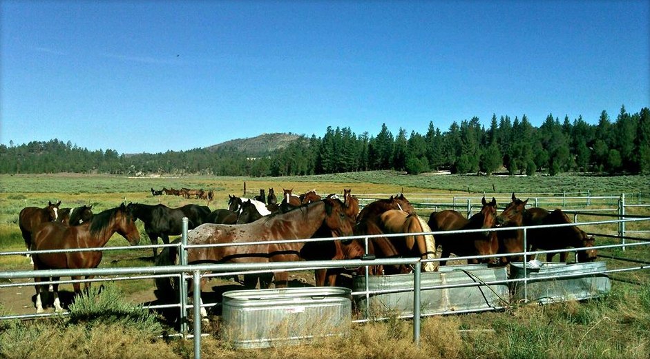 400-Acre Southern California Ranch for a $12,000 a Month Lease - Dwell