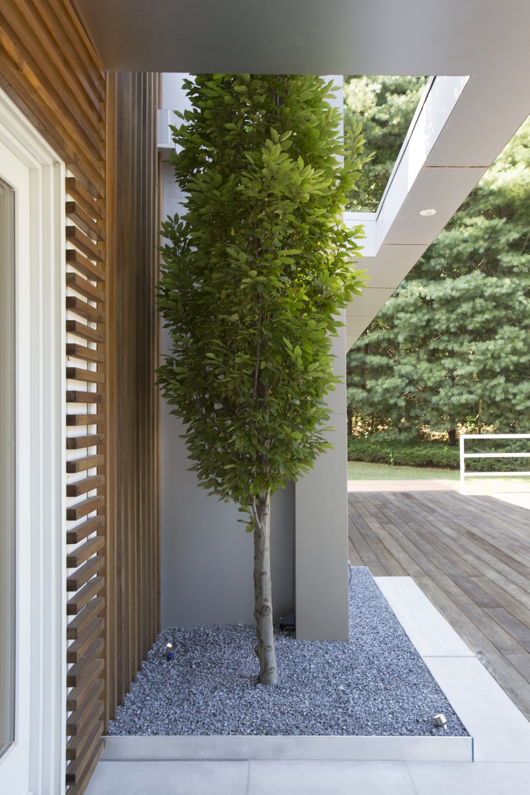 Photo 18 of 18 in The Summer House by Azin Valy - Dwell