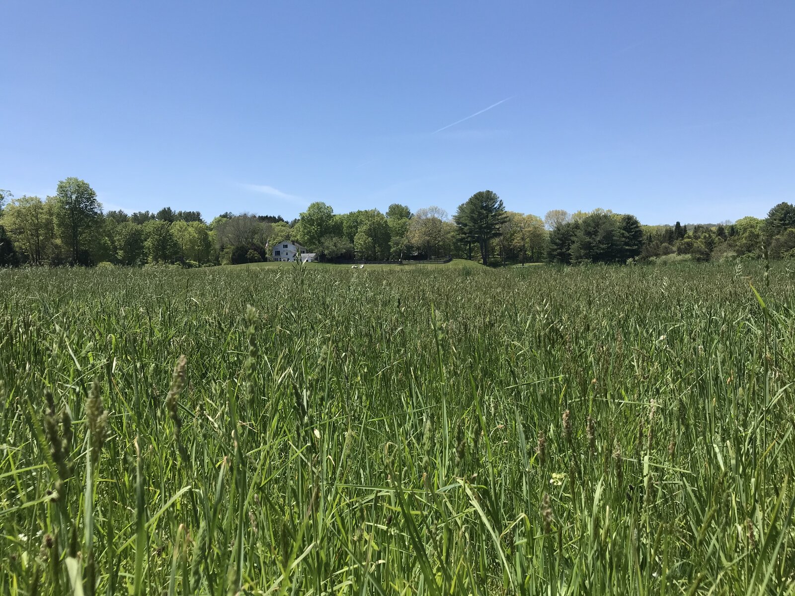 Photo 11 of 20 in Buttonball Farm by Thomas Paron - Dwell