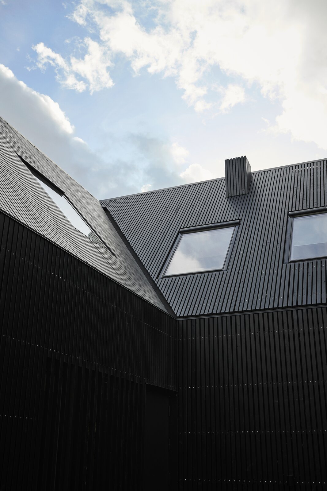 Photo 3 of 11 in A Black Gable Villa in Copenhagen Stands Out From Its ...