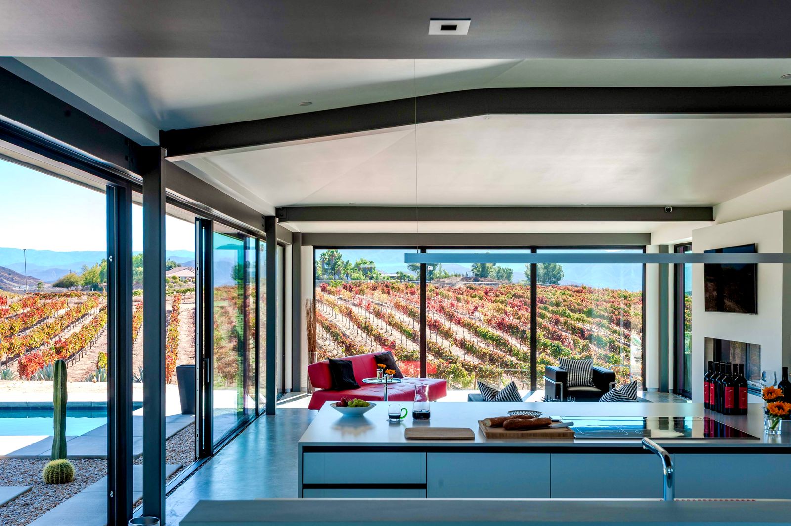 Photo 9 of 14 in Kite House and vineyard by architects magnus - Dwell