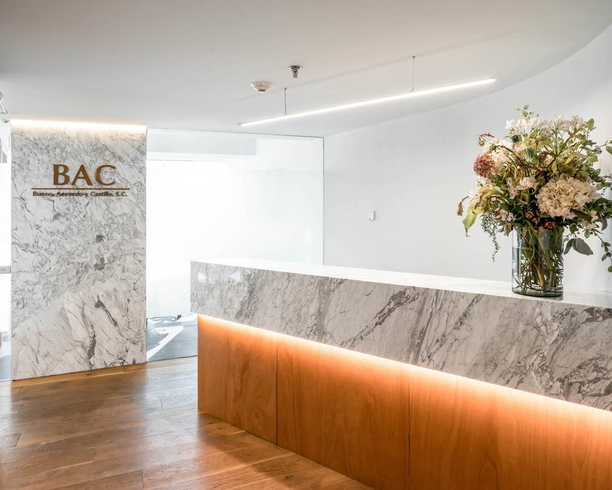 Photo 13 of 16 in BAC by BASO Arquitectura - Dwell