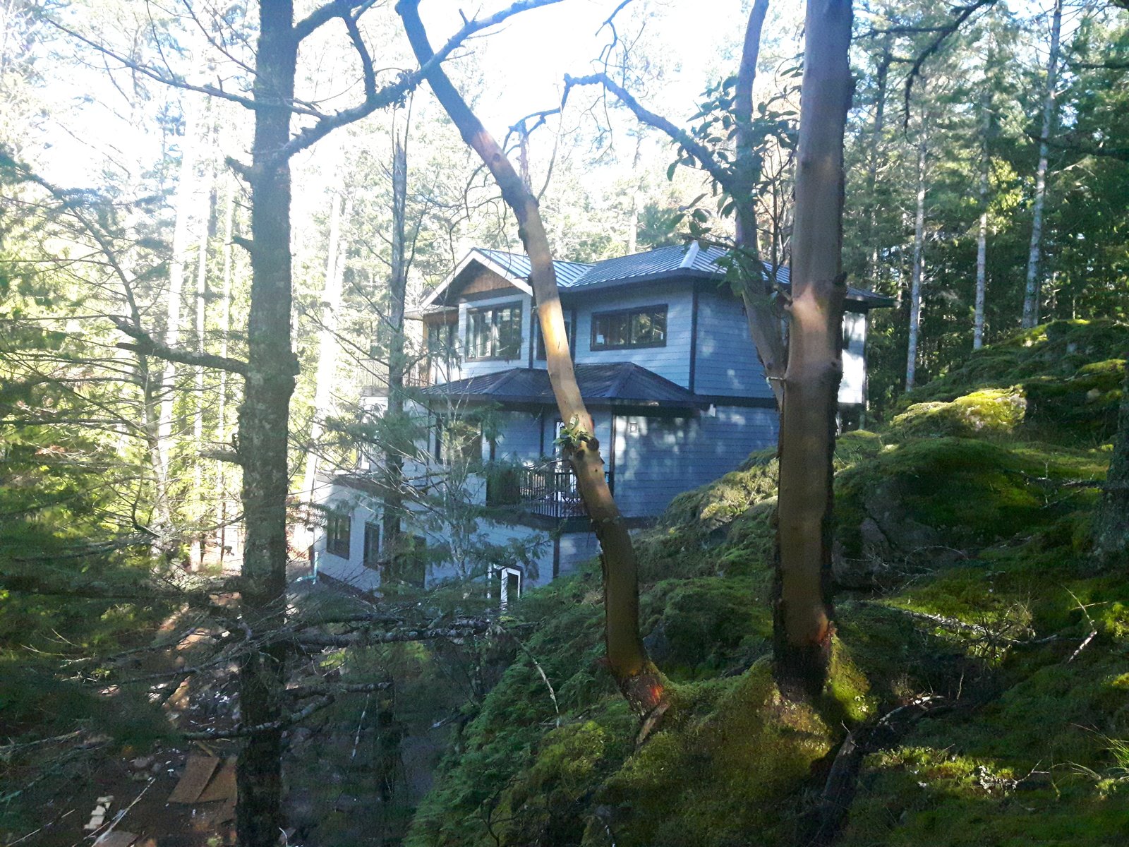 Photo 4 of 7 in The Kangaroo House by D3 Studio - Dwell