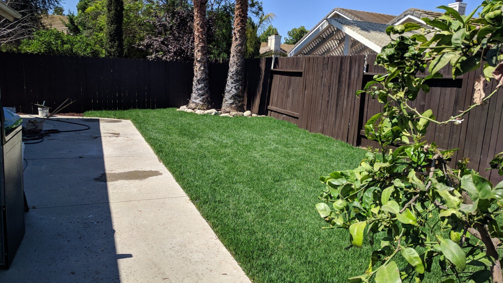 Photo 6 of 16 in Camino El Rincon by Ryan Huggins - Dwell