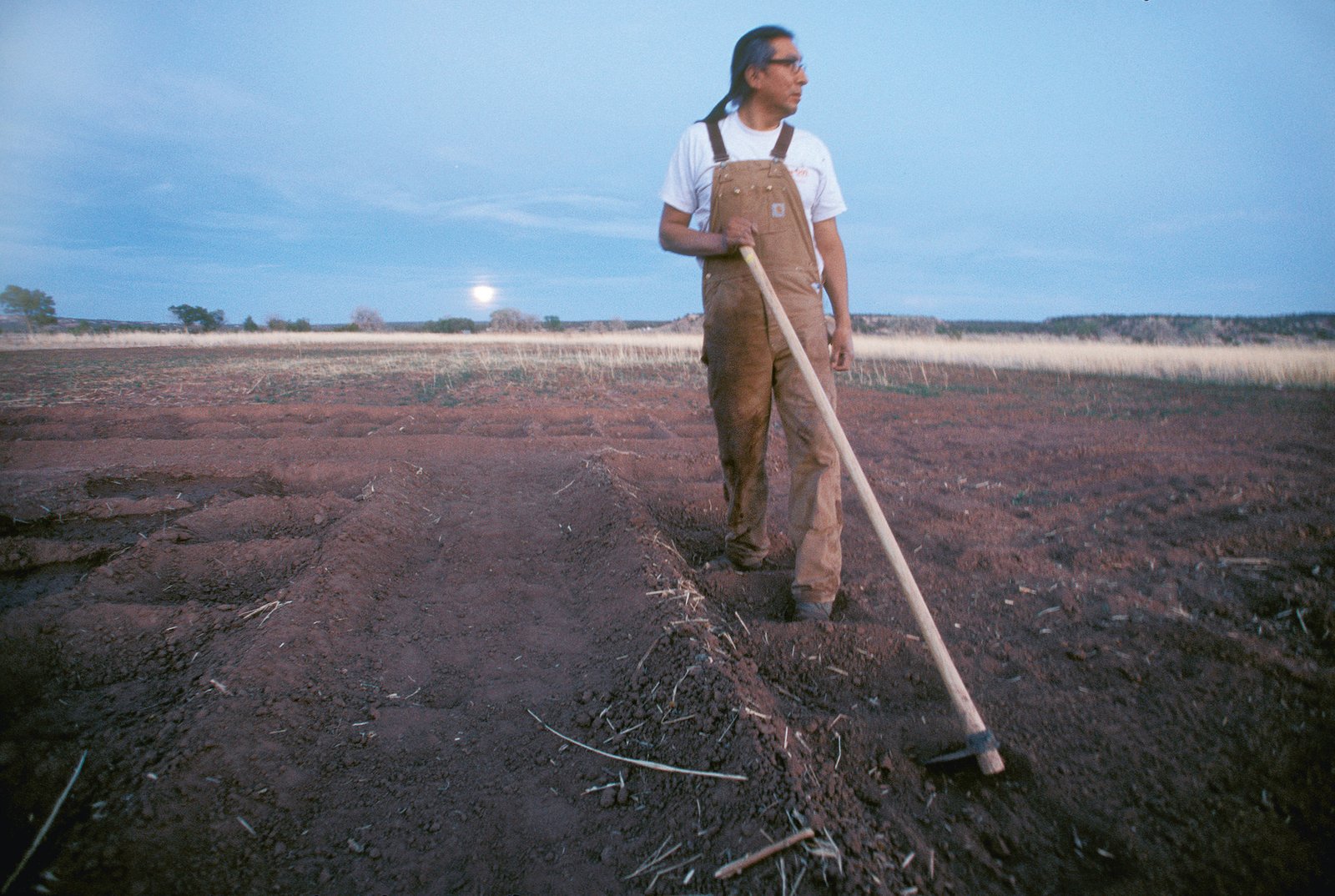 Zuni Waffle Garden | Fasci Garden