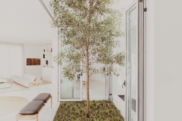 Home Design Photos and Ideas - Dwell