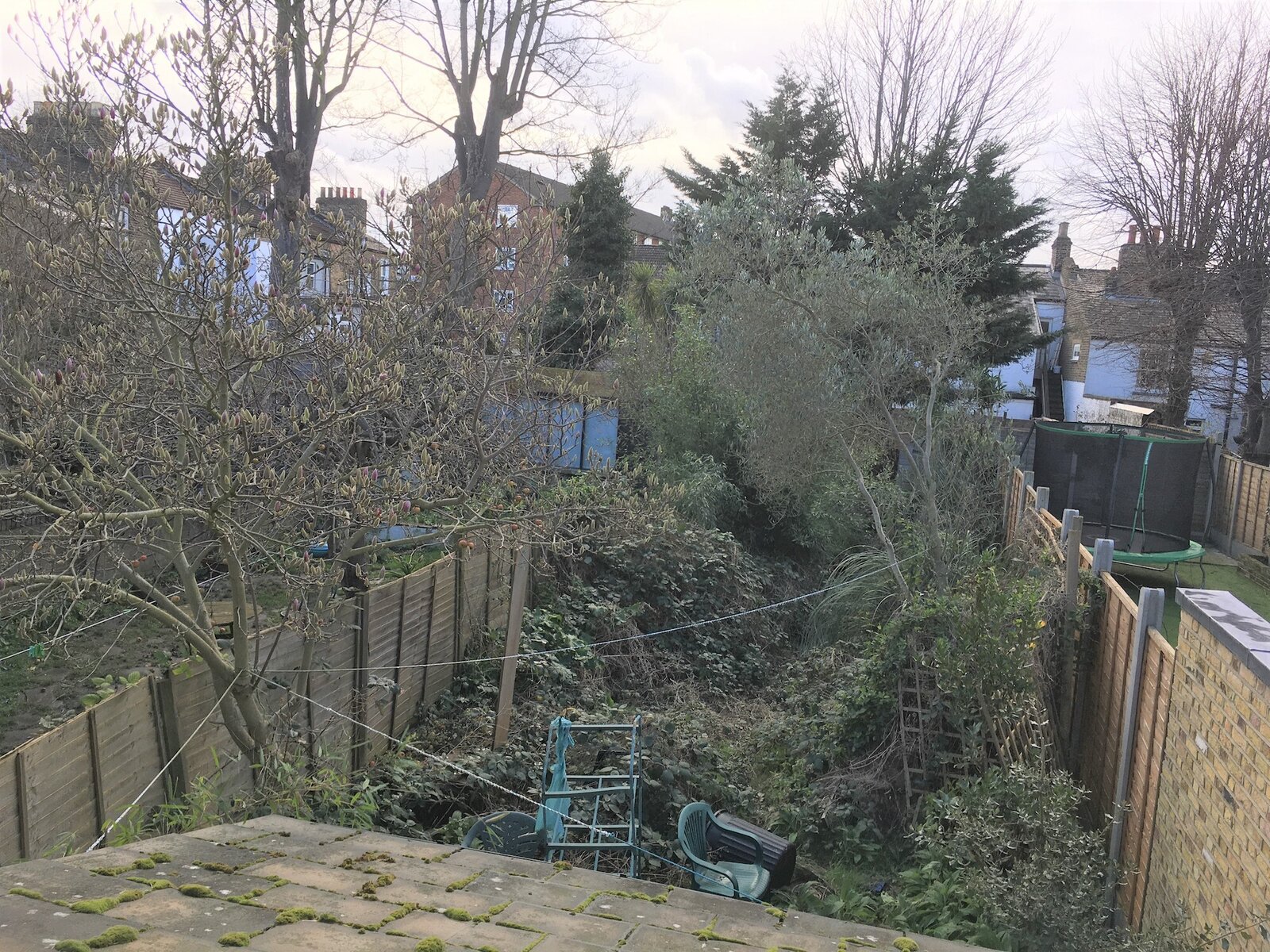 Photo 6 of 24 in Before & After: A Feral Terrace House Becomes a ...