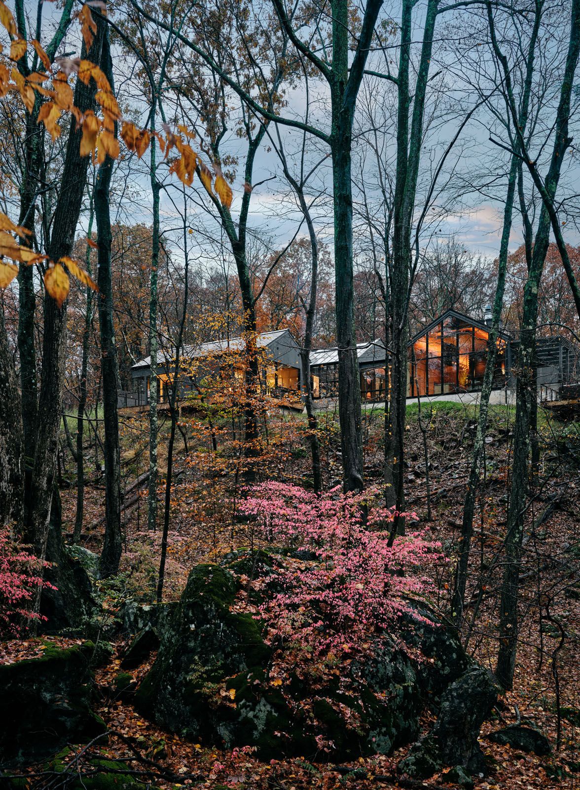 Photo 17 of 22 in House in the Woods by Nancy Mah - Dwell