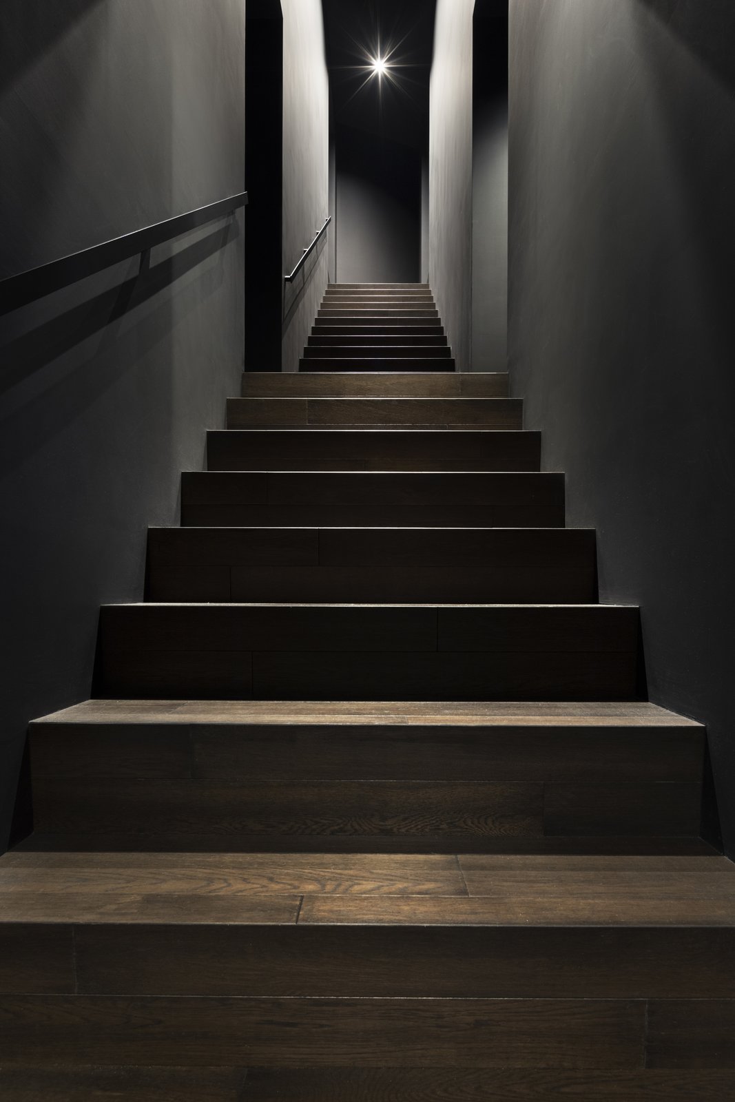 Photo 13 of 21 in A Gigantic Staircase Sweeps Through the Heart of This ...