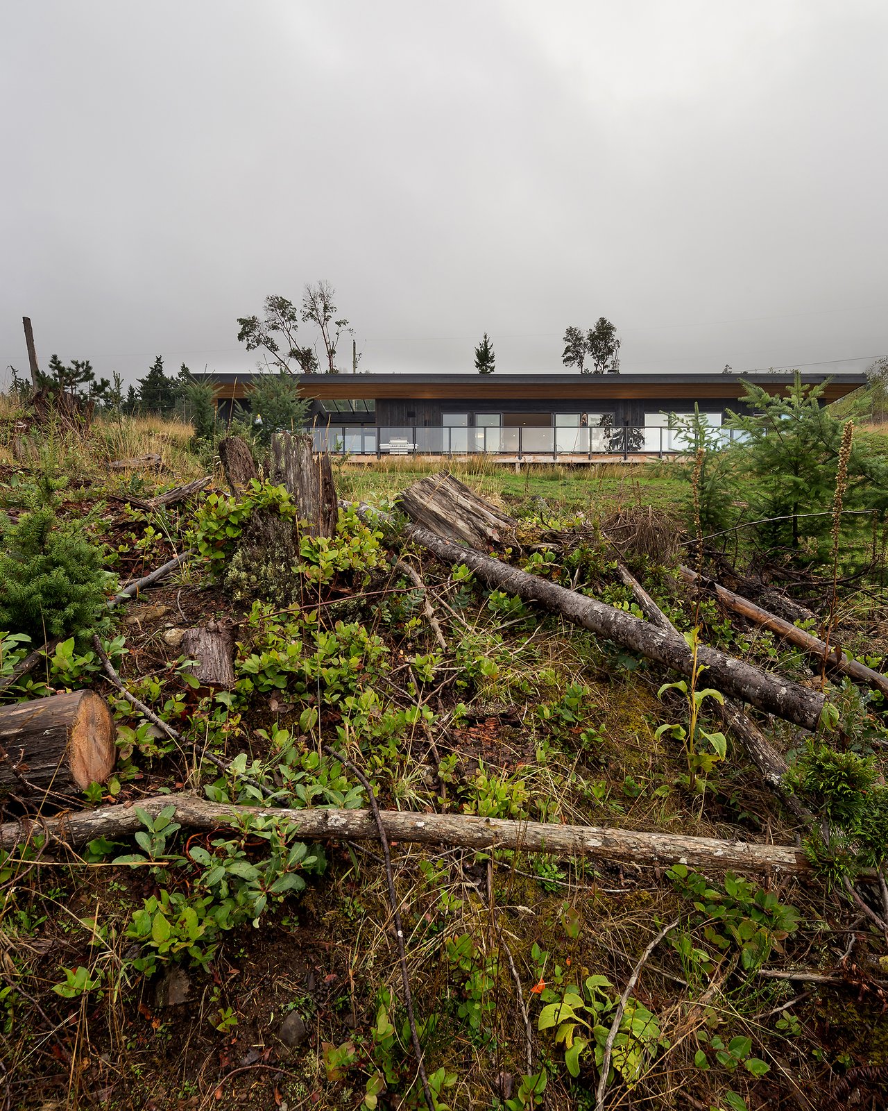 Photo 7 of 17 in Long House by W O V E N Architecture and Design - Dwell