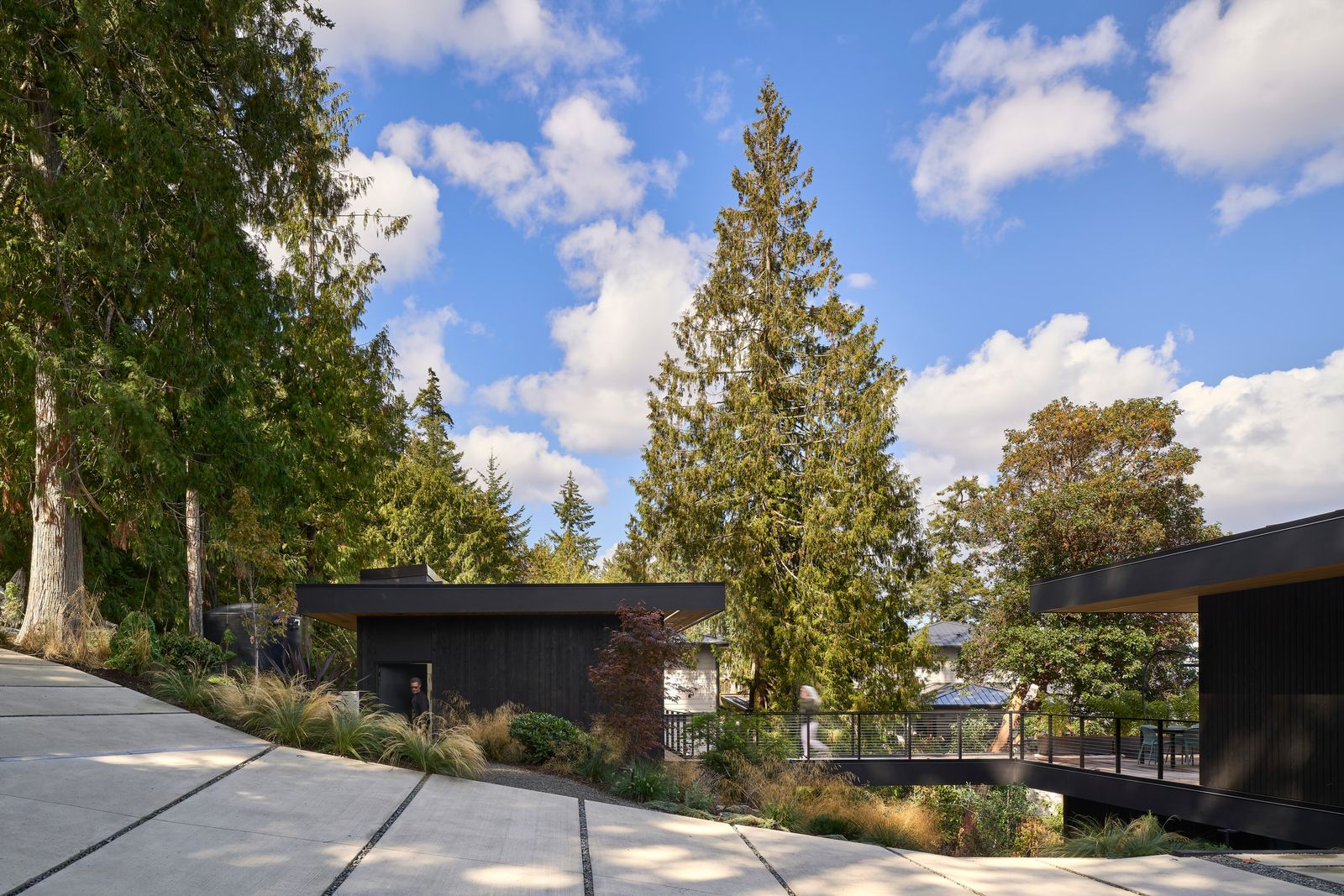 Photo 14 of 31 in Layer House by W O V E N Architecture and Design - Dwell