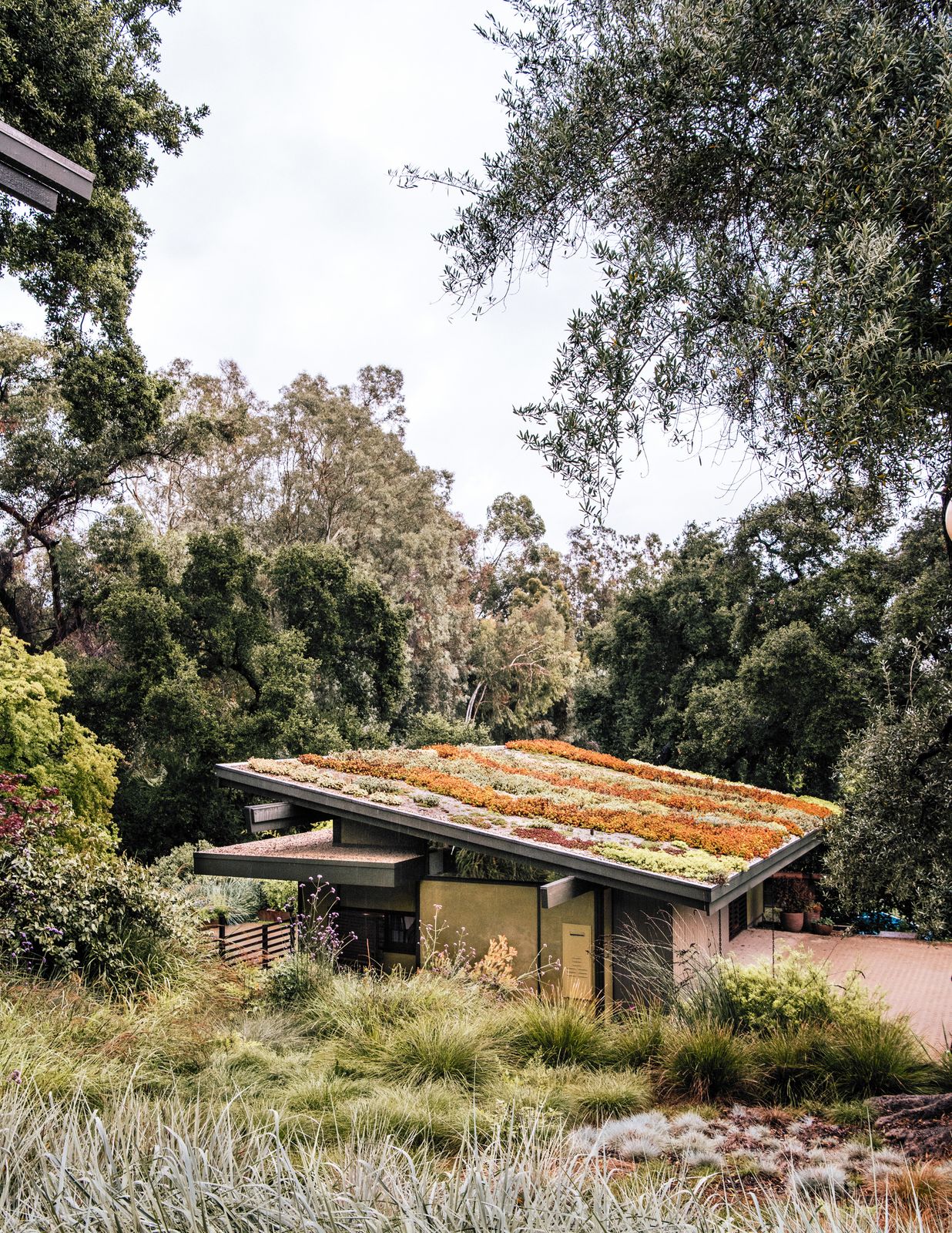 Photo 8 of 10 in A 1954 Los Angeles Home Moves Into the Future With a ...